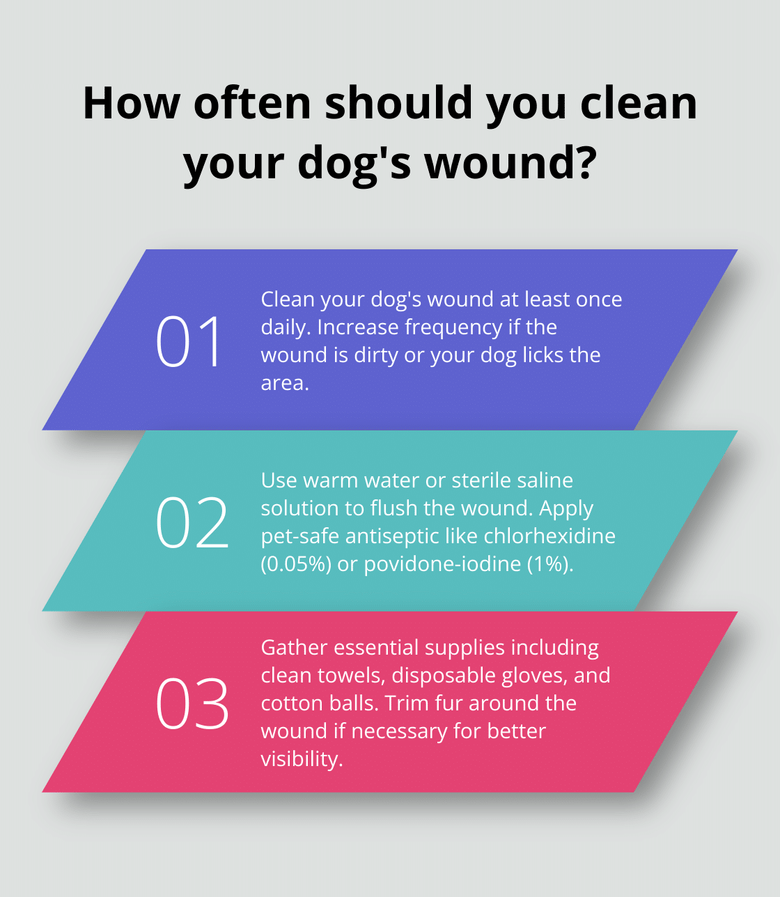 How to Care for Your Dog’s Open Wound? – The Dogington Post