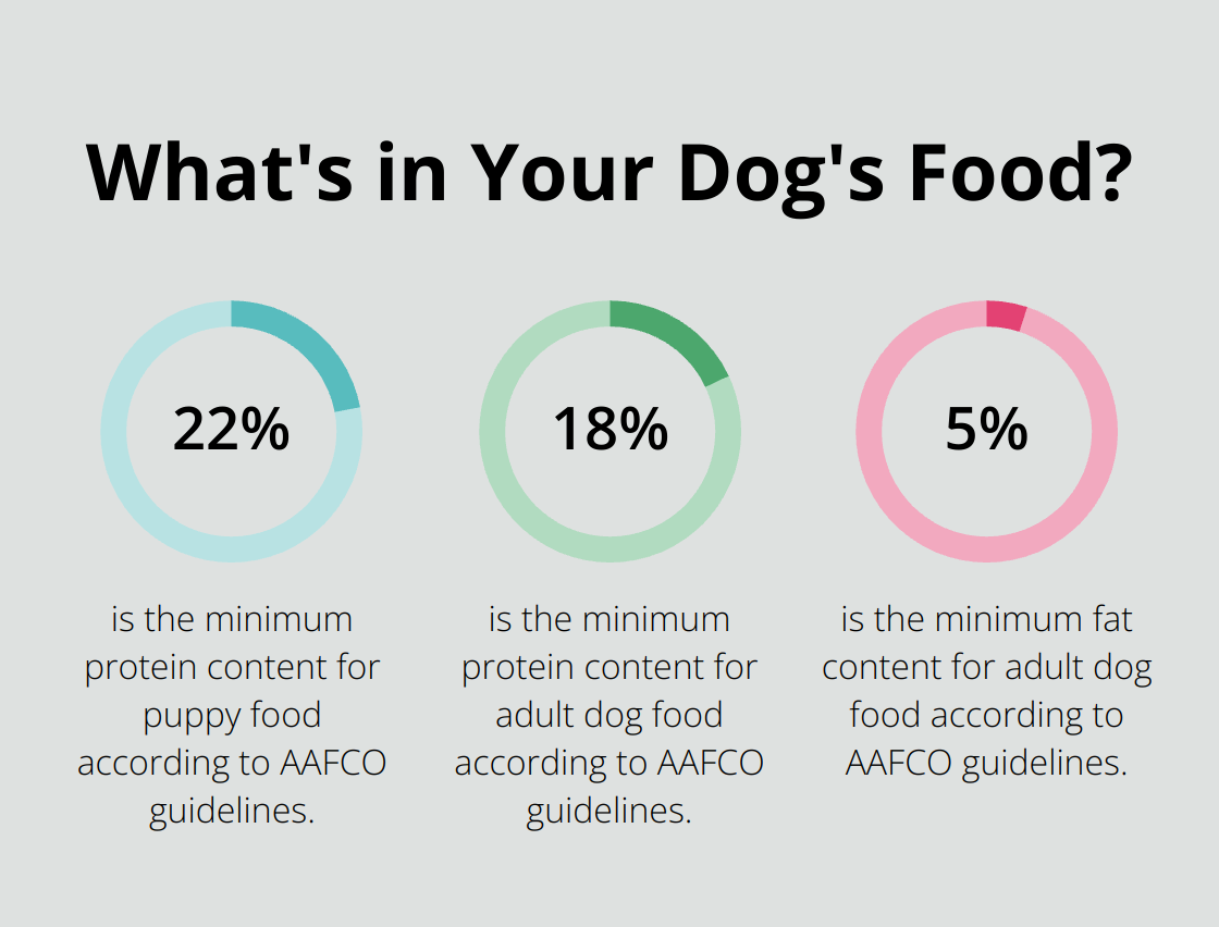 How to Take Care of a Dog: Essential Tips for New Owners – The ...